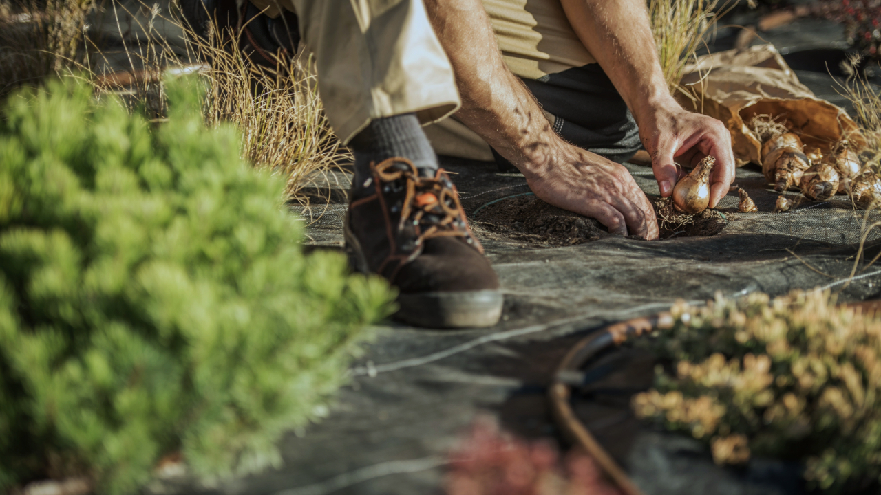 Fall Garden Checklist - Key Tasks To Prepare Your Garden - Rooted Urban ...