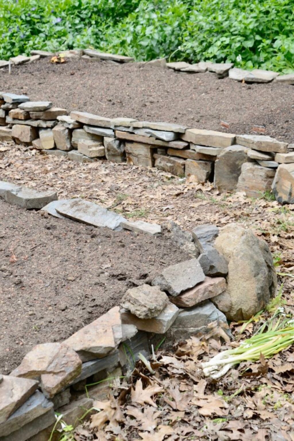 23 Ingenious Raised Garden Bed Ideas to Transform Your Garden - Rooted ...