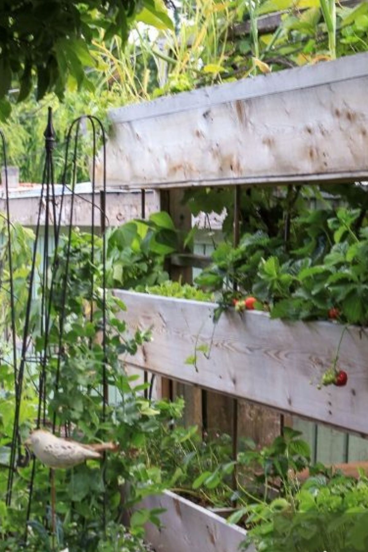 23 Ingenious Raised Garden Bed Ideas to Transform Your Garden - Rooted ...