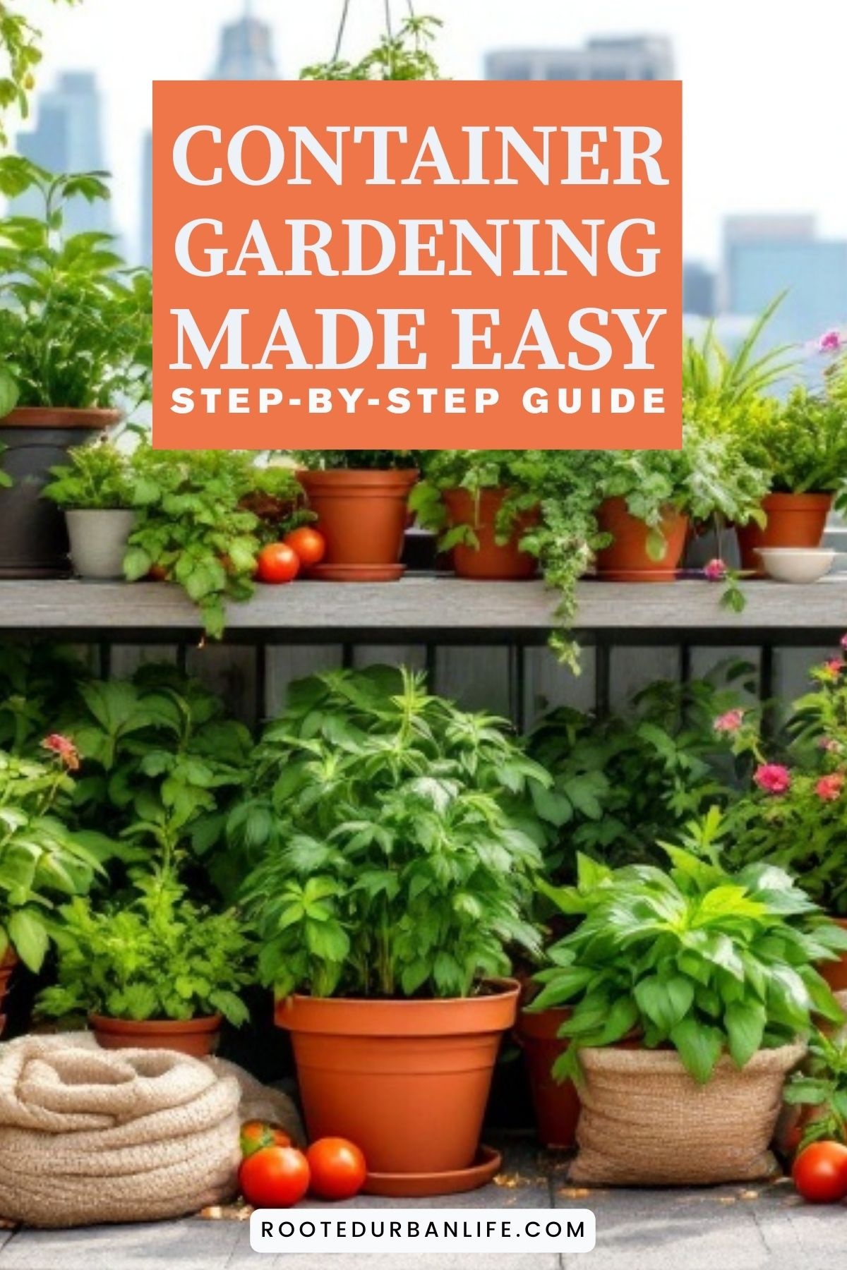 How to Start a Container Garden: 6 Easy Steps for Small-Space Success - Rooted Urban Life